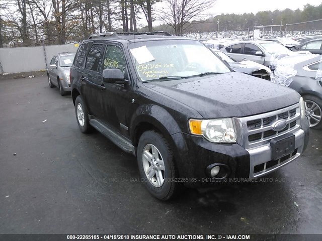 1FMCU59H88KC44630 - 2008 FORD ESCAPE HEV, BLACK - price history ...